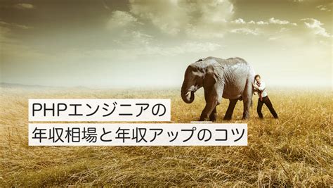 Phpエンジニアの年収相場と年収アップのコツを大公開 Webフリーランスとして働く