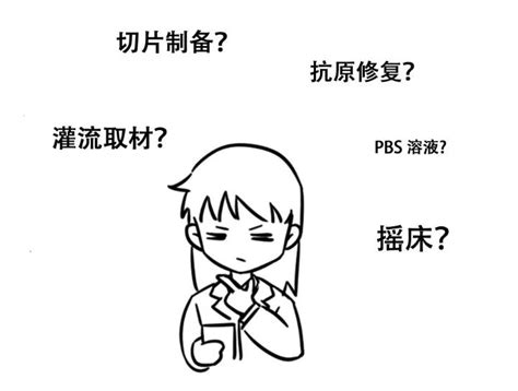 掉组织、高背景、有杂质？ 免疫荧光常见问题试试这 5 步！ 丁香园