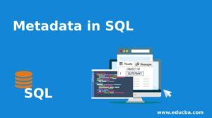 Metadata In SQL Examples On How Does Metadata Works In SQL
