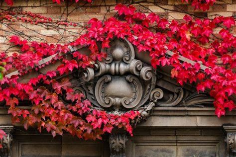 Ally Bailey Strickler Clf On Linkedin Forbes Names Uwmadison As