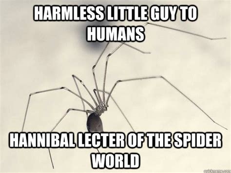 Misunderstood Daddy Long Legs Memes Quickmeme