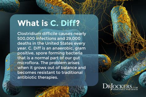 C Diff Infection Risk Factors Symptoms And Support Strategies