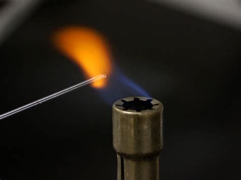 Video Blastomere Explants To Test For Cell Fate Commitment During