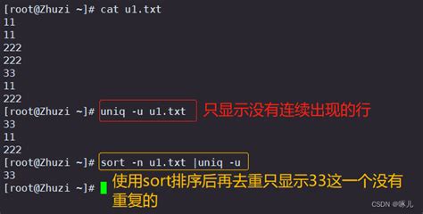 使用linux常用文本处理命令统计日志文件中访问量最大的十个ip地址从日志文件统计访问量最多的ip Csdn博客