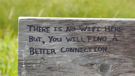 No Wifi Nature Connection Free Photo On Pixabay Pixabay