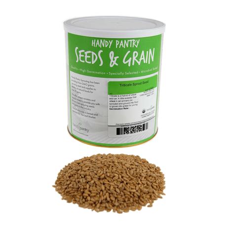 Organic Triticale Seeds 45 Lbs Triticale Grain Seed Sprouting