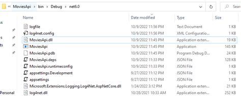 exception handling and logging in asp core web api