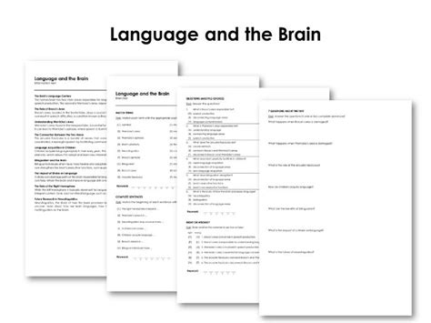 Language And The Brain Teaching Resources
