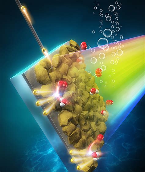 Scientific Cover Picture Illustration Services The Journal Of