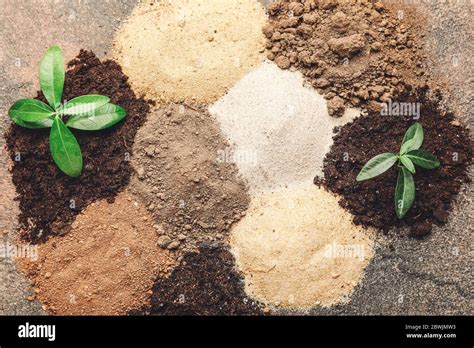 Types Of Soil Chart