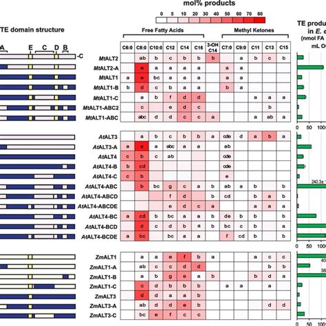 Structural Composition Substrate Specificity And Productivity Of