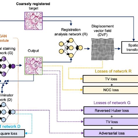Registain Framework For Training The Autopsy Virtual Staining Model Download Scientific