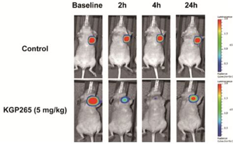 Liu Li Lab Ut Southwestern Dallas Texas