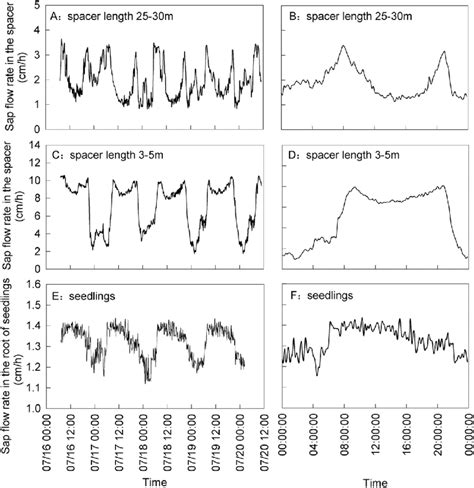 Characteristics Of Sap Flow Rate In Spacers Connecting A And C