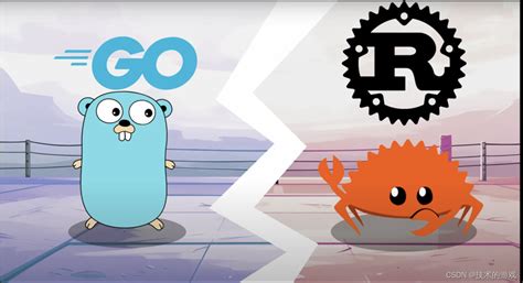 go 与 rust：导航编程语言景观