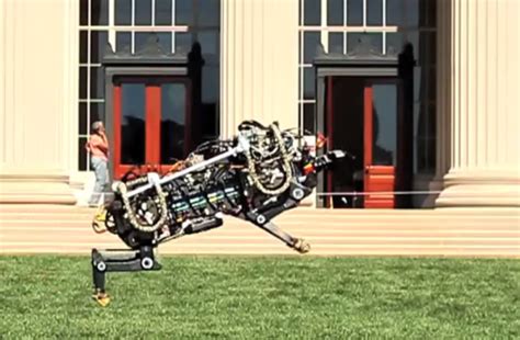 Mit Cheetah Robot Bounds Off Tether Outdoors Ieee Spectrum
