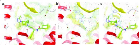 Druggability Analysis For The Ccr5 Chemokine Gpcr Structure With Download Scientific Diagram