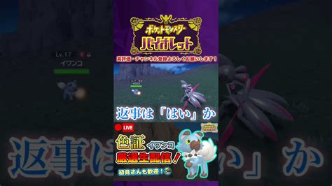 【ポケモンsv】現れた色違いイワンコに対して支配欲が止まらない男 Shorts Pokémon Charts