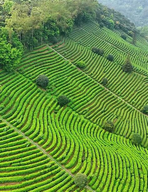 梅州8大旅游景点攻略高铁自由行玩乐 美食推荐 星岛环球网