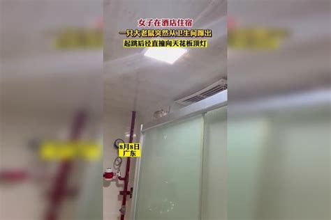 女子在酒店住宿，一只大老鼠突然从卫生间蹿出，起跳后撞天花板顶灯，网友：古有夸父逐日，今有老鼠逐灯。古有顶灯卫生间