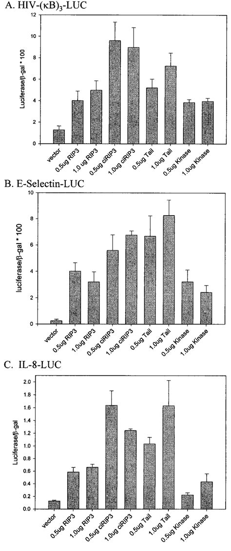 Mrip3 Induces Nf B Activity Hek 293 Cells Were Transfected The