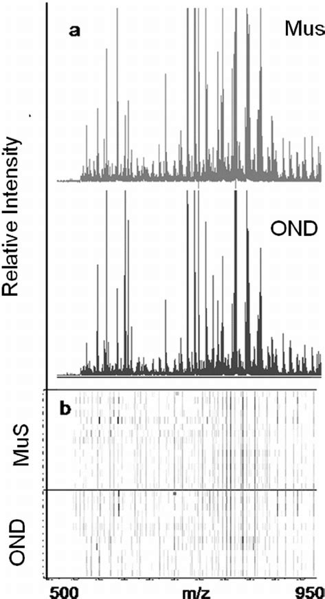 Multivariate Analysis Of Metabolomics Data Partial Least Squares