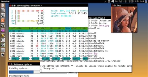Gromit S Cabin Lena On TX1 By OpenCV C