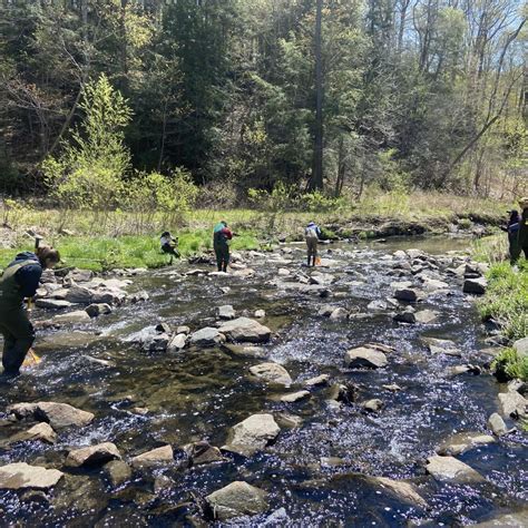 Ontario Groups Learn About Bugs As Bioindicators Living Lakes Canada