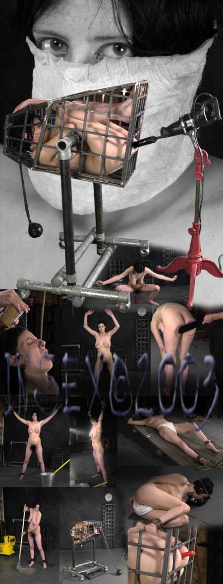 Insex Archives Updates