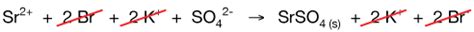 Net Ionic Equations