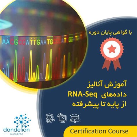 آموزش آنالیز داده‌های Rna Seq از پایه تا پیشرفته آکادمی قاصدک