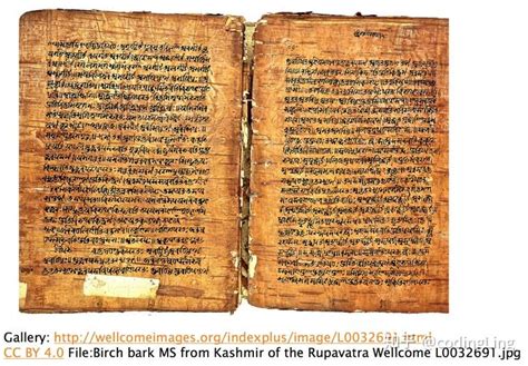 斯坦福cs224n6依存句法分析 知乎