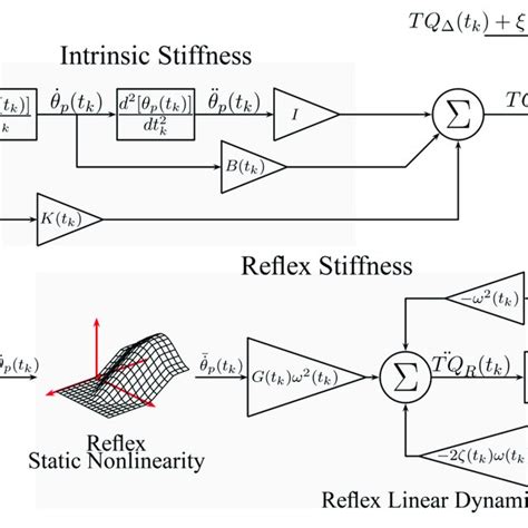 Time Varying Parallel Cascade Model Structure Representing The