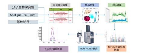 Prm靶向蛋白质组学 欧易生物