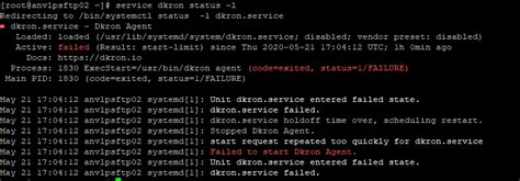 Service Start Error Issue 769 Distribworks Dkron GitHub