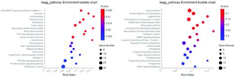 Top 20 Kegg Pathways Of Differentially Expressed Mrnas And Mirnas