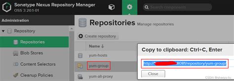 内网nexus代理yum、epel 源私有仓库 内网设备配置（centos）nexus Yum 代理 Csdn博客