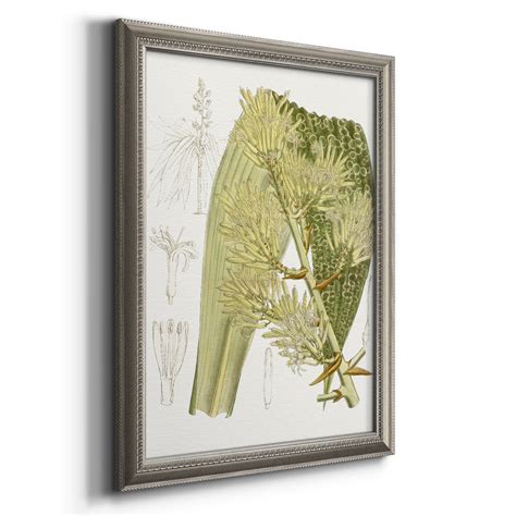 Bay Isle Home™ Palm Melange Vi Picture Frame Print On Canvas Wayfair