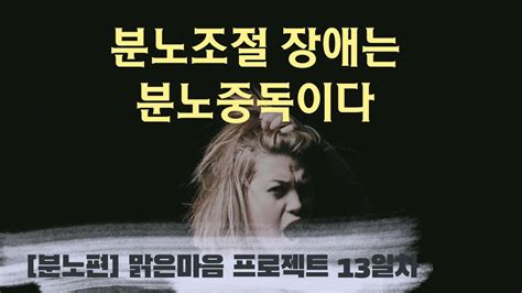 분노없는 삶 13일차분노조절장애는 분노중독 입니다 Youtube