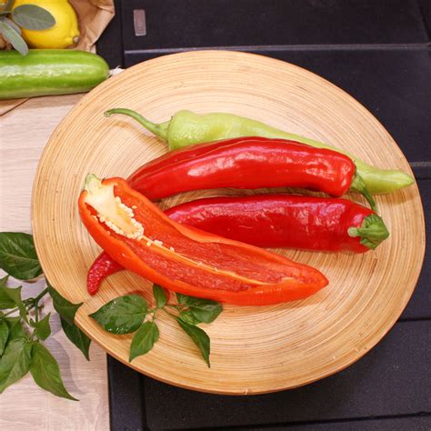 Bio Spitzpaprika rot Blu Capsicum annuum Conored günstig kaufen