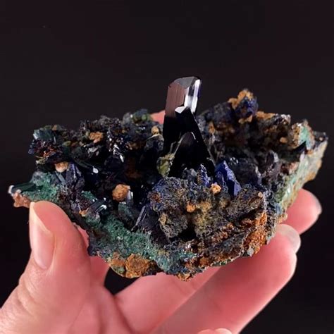 Azurite Gemmy Crystals Broken Hill Proprietary Mine Broken Hill Broken Hill District