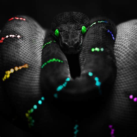 Python Youtube