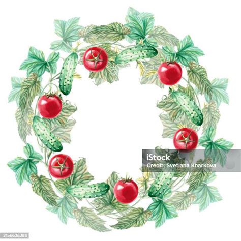 둥근 프레임 흰색 배경에 토마토와 오이 와 수채화 그림 와 화환 카드 초대장 요리책 디저트 조리법 및 제품에 대 한 프레임의