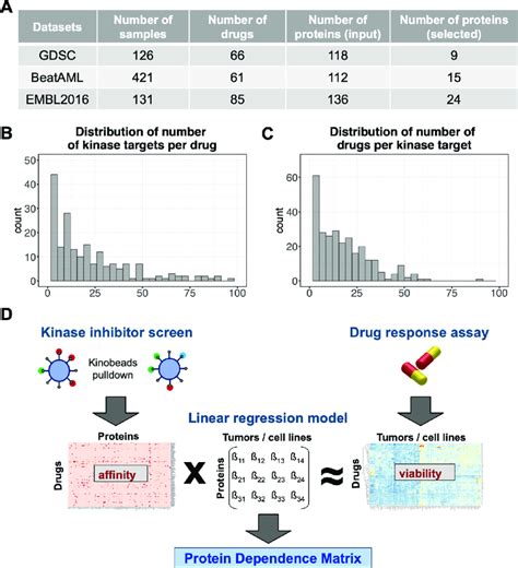 Principle Of The Protein Dependence Inference Framework A Summary Of Download Scientific
