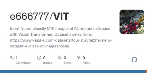 Vit Untitled Ipynb At Main E Vit Github
