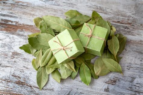 Premium Photo Organic Natural Handmade Bay Laurel Soap With Olive Oil