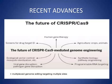CRISPR CAS THE GENE EDITING TOOL PPTX Programming Languages Computing