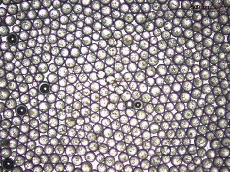 Micropore Technologies - Home page