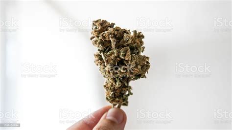 세계에서 흡연 마리화나의 문화 흡연을위한 준비 의료 Thc Cbd 대마초 싹 0명에 대한 스톡 사진 및 기타 이미지 0명