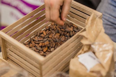 Cocoa Fermentation Box Stock Photos Free Royalty Free Stock Photos From Dreamstime